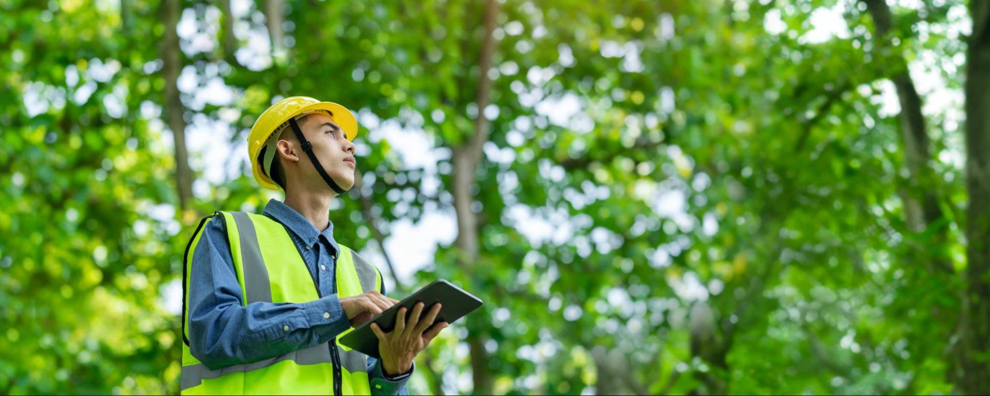 Technology in Forestry: How Forestry Technicians Use Advanced Tools for Forest Management